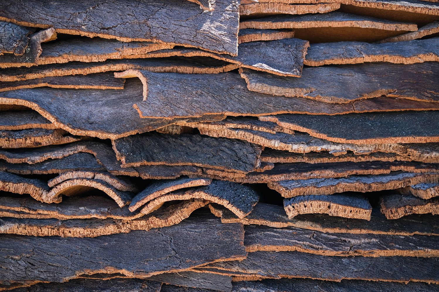 Cortiça | Atlas | OA