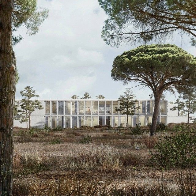 Miguel Abecasis Arquitectos vence concurso para Escola Professor Manuel ...